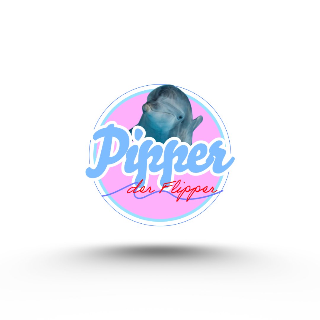 Pipper der Flipper – ODDIKT
